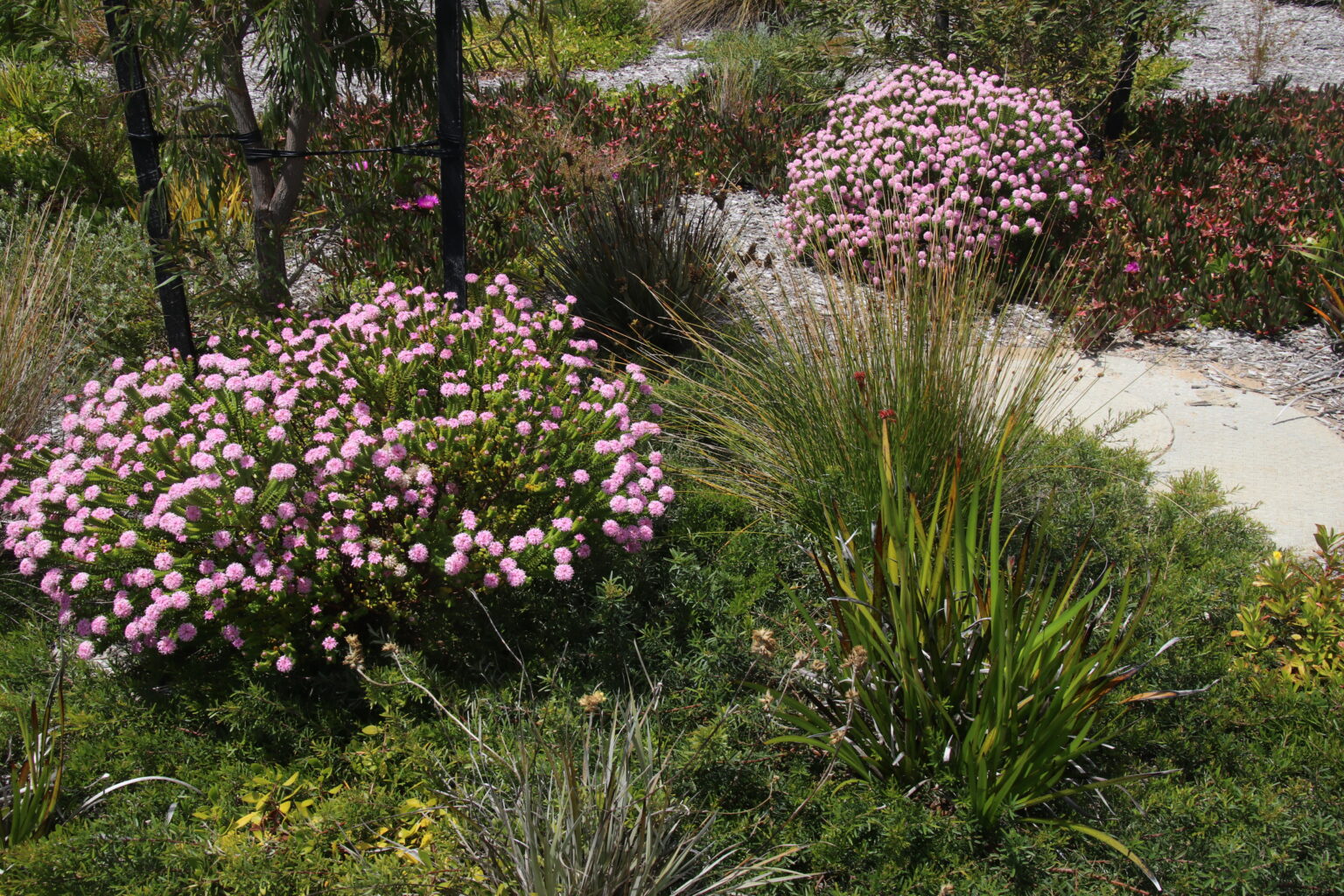 Wildlife-Friendly Gardens - GeoCatch